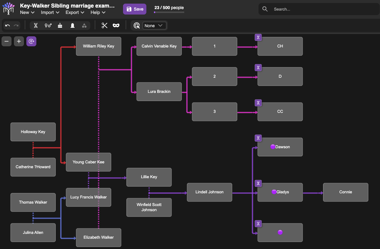 Using BanyanDNA to validate family trees and explore relationships ...